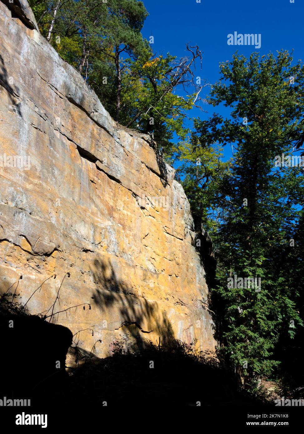 Limestone climbing rock near Bad Dürkheim, Palatinate area Stock Photo ...