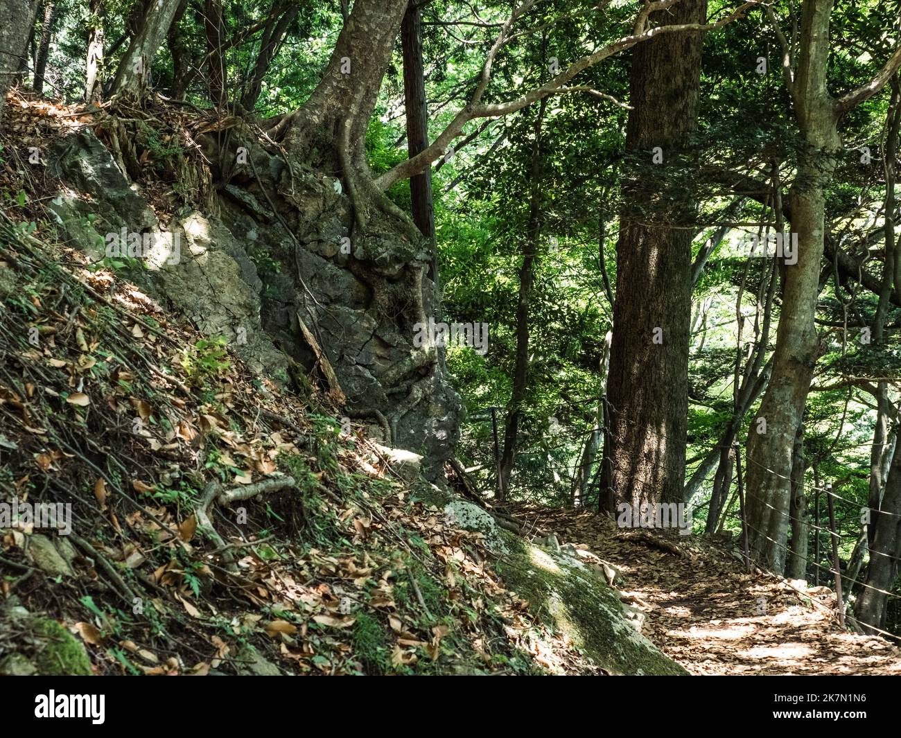 The rocks along a mountainside hiking trail near Oyama Afuri Shrine ...