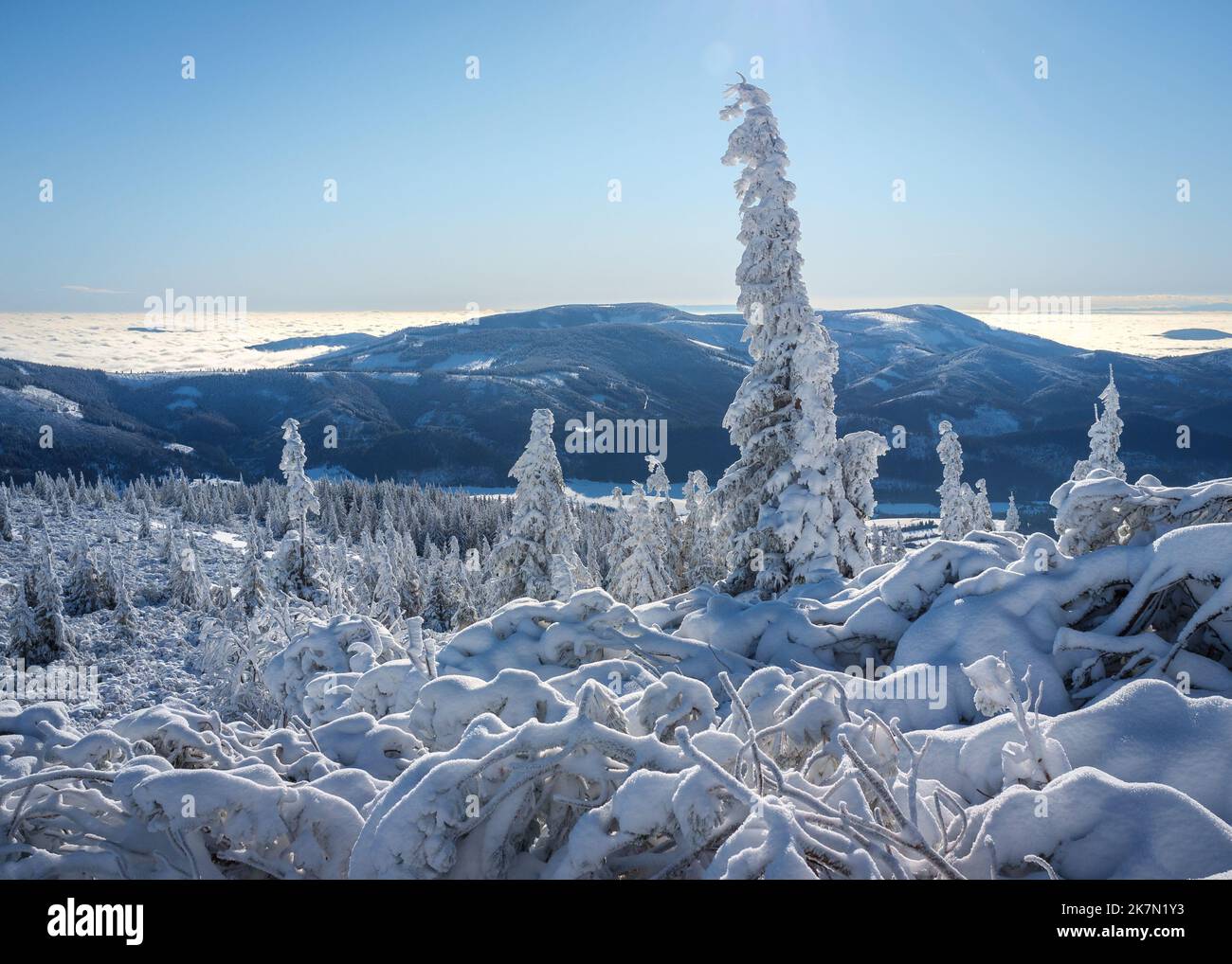 Crust of snow hi-res stock photography and images - Alamy