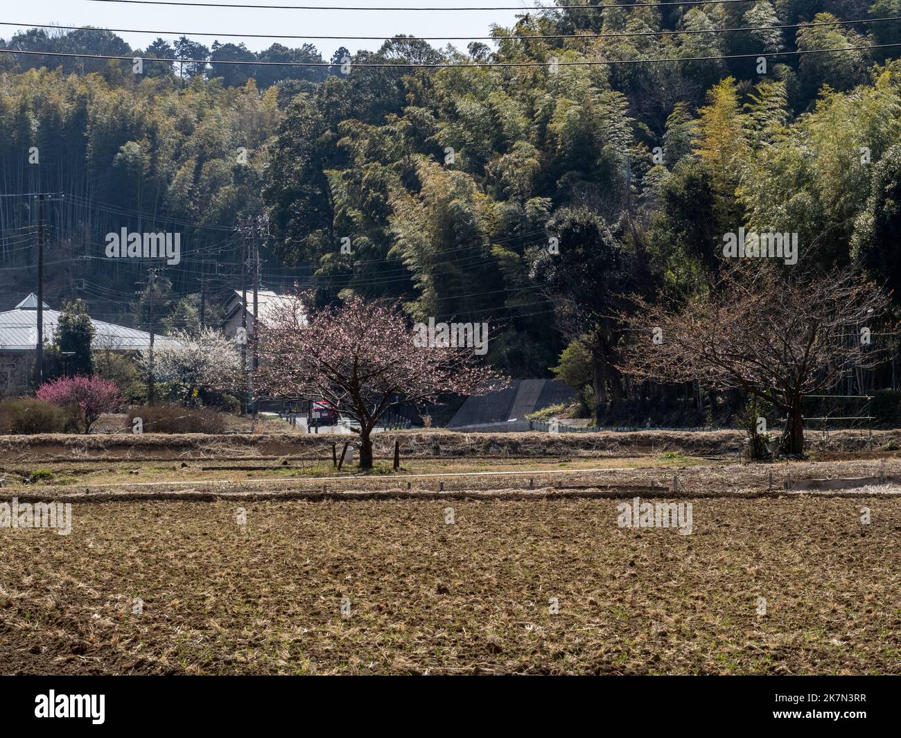 A natural view farmland in Maita, Yokohama, Japan Stock Photo - Alamy