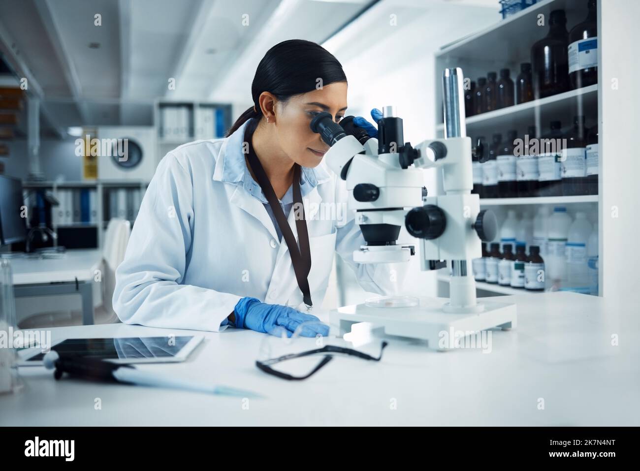 Hello my microscopic little friends. a young scientist using a ...