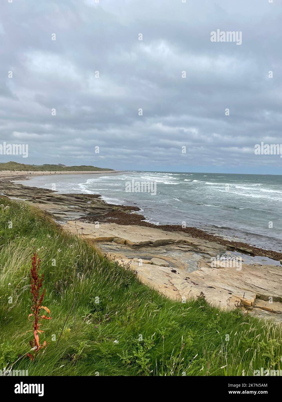 A rocky cliff with grasses near the ocean with big waves on a gloomy ...