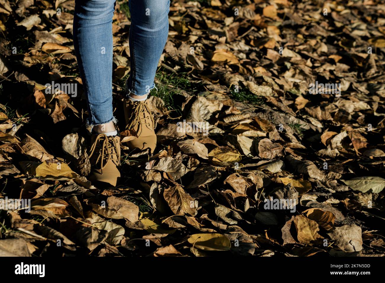 female legs in shoes walking in park covered with fallen yellow leaves ...