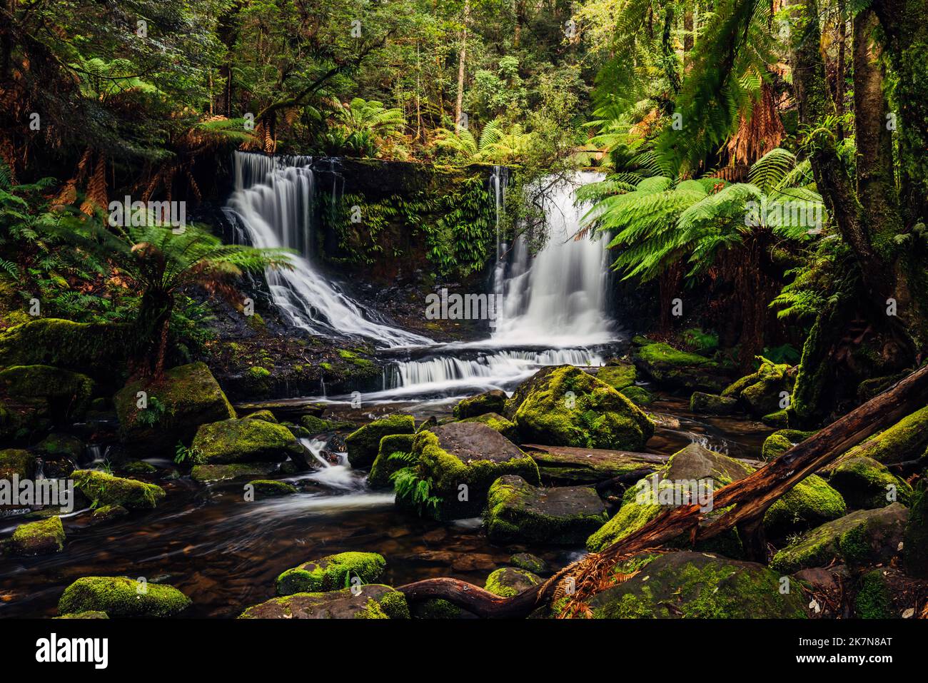 Horseshoe Falls in Mt Field National Park Tasmania Australia Stock ...