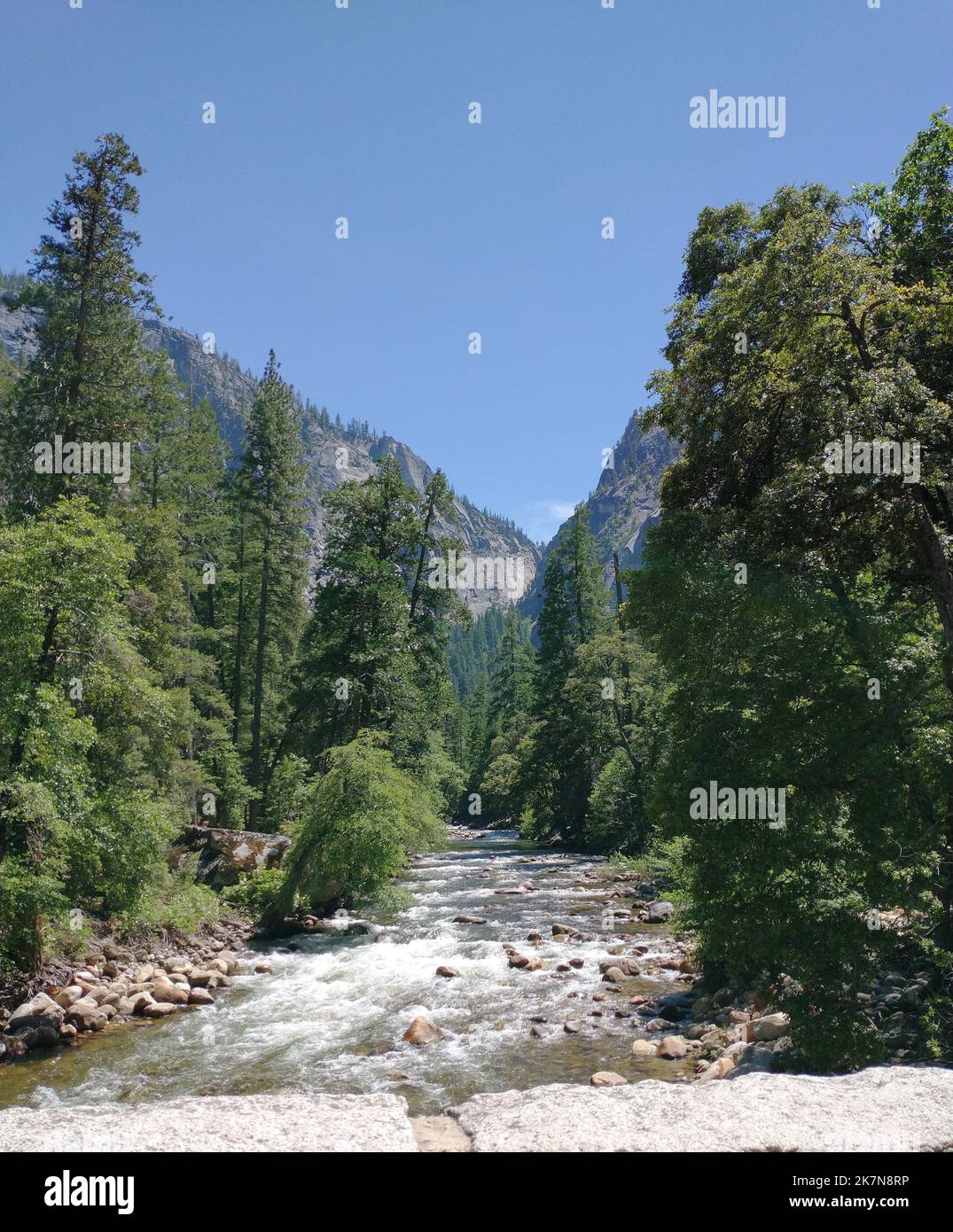 An alpine river flowing through forest Stock Photo - Alamy