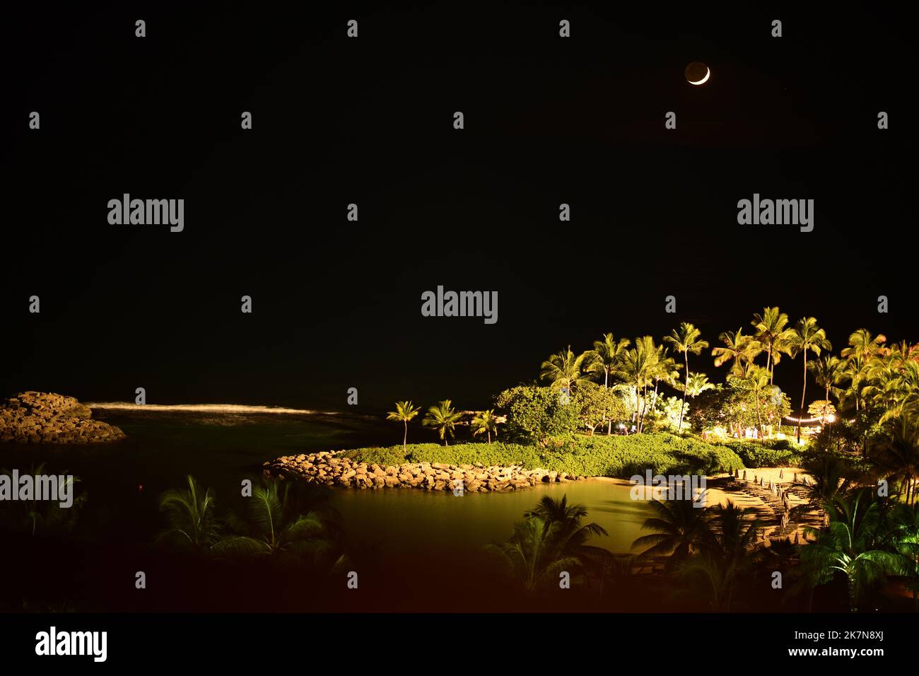 A scenic night view of the island with tropical palm trees and a ...