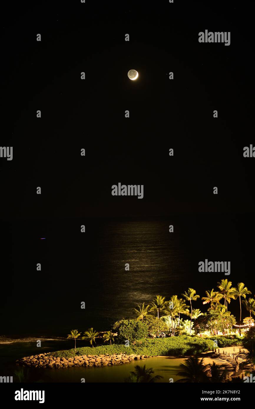 A vertical scenic night view of the island with tropical palm trees and ...