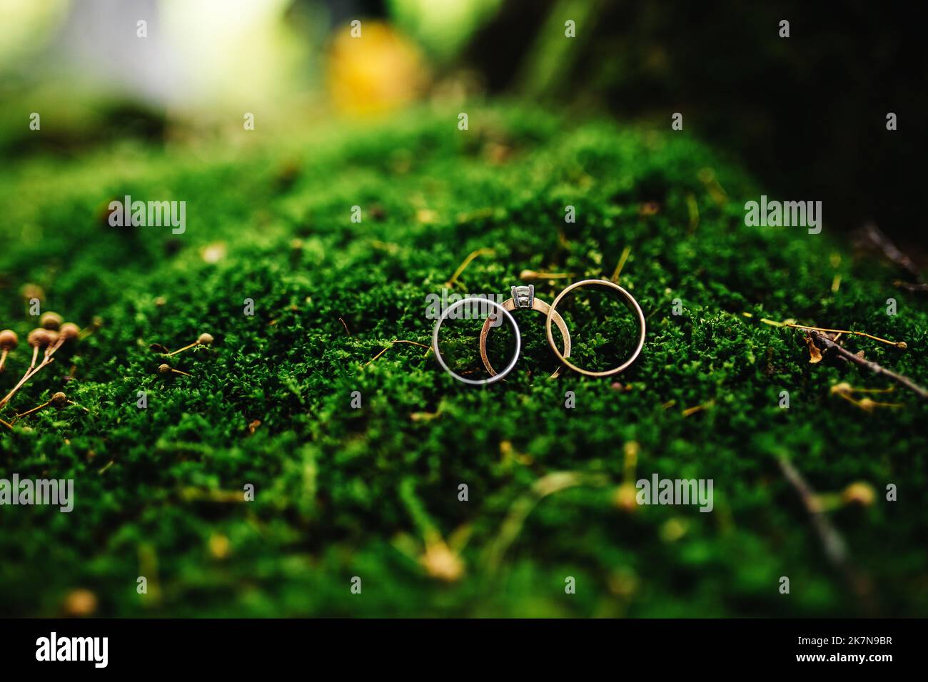 Macro Photograph of Wedding and Engagement Rings sitting on top of Moss ...