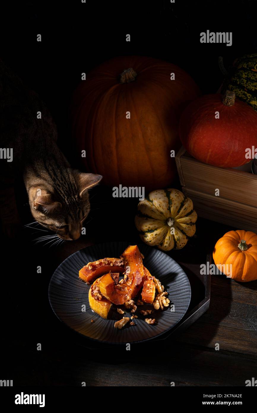 Cat in a dark moody pictorial still-life of autumn roasted butternut ...