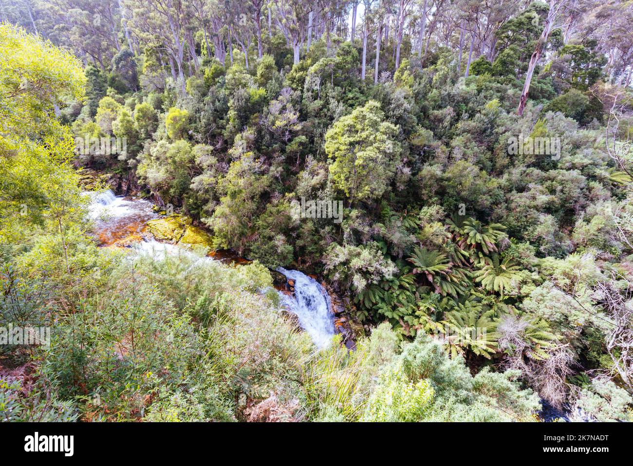Halls Falls in Pyengana Tasmania Australia Stock Photo - Alamy