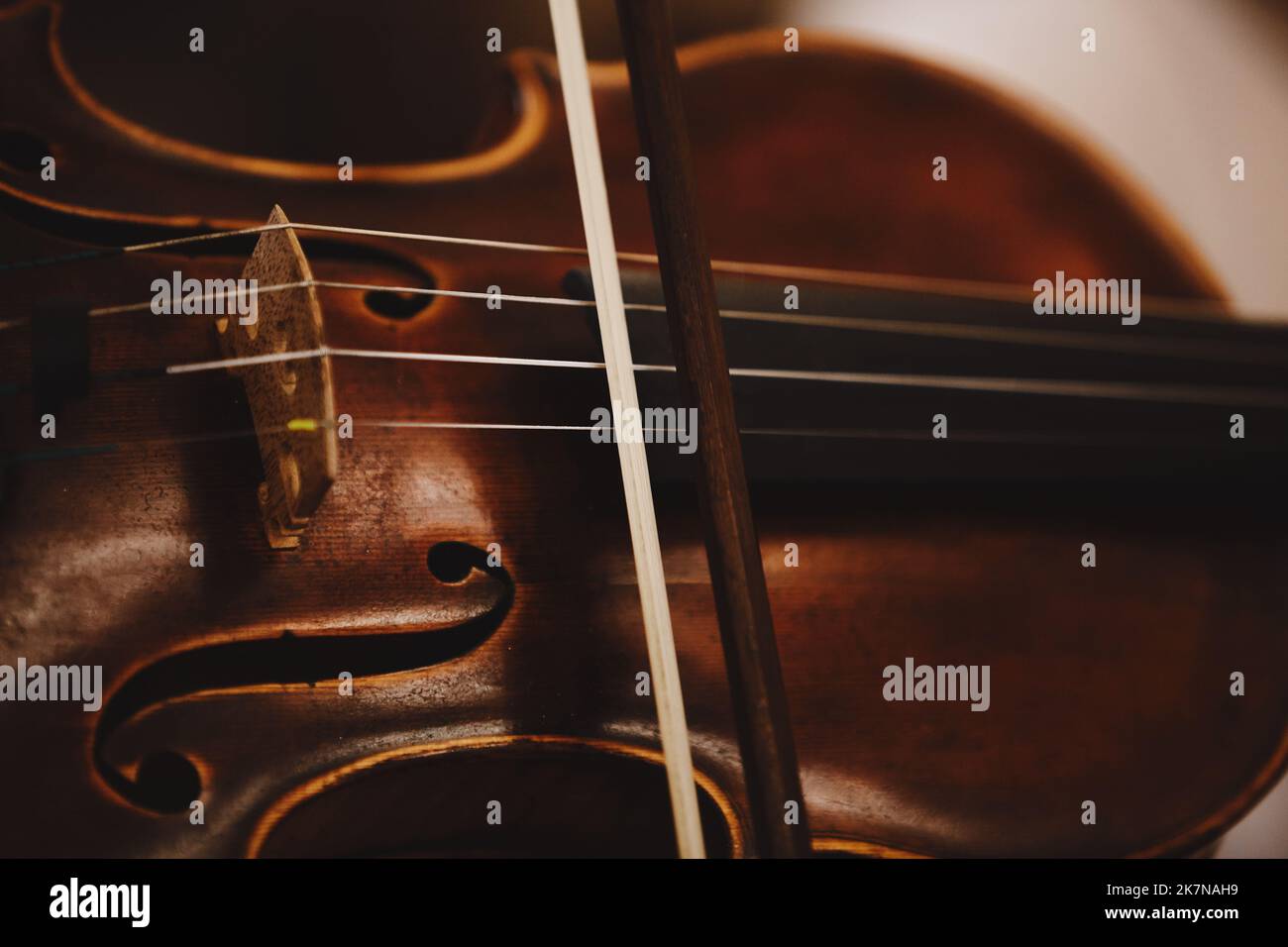 Close up playing violin isolated on studio background. Inspired ...