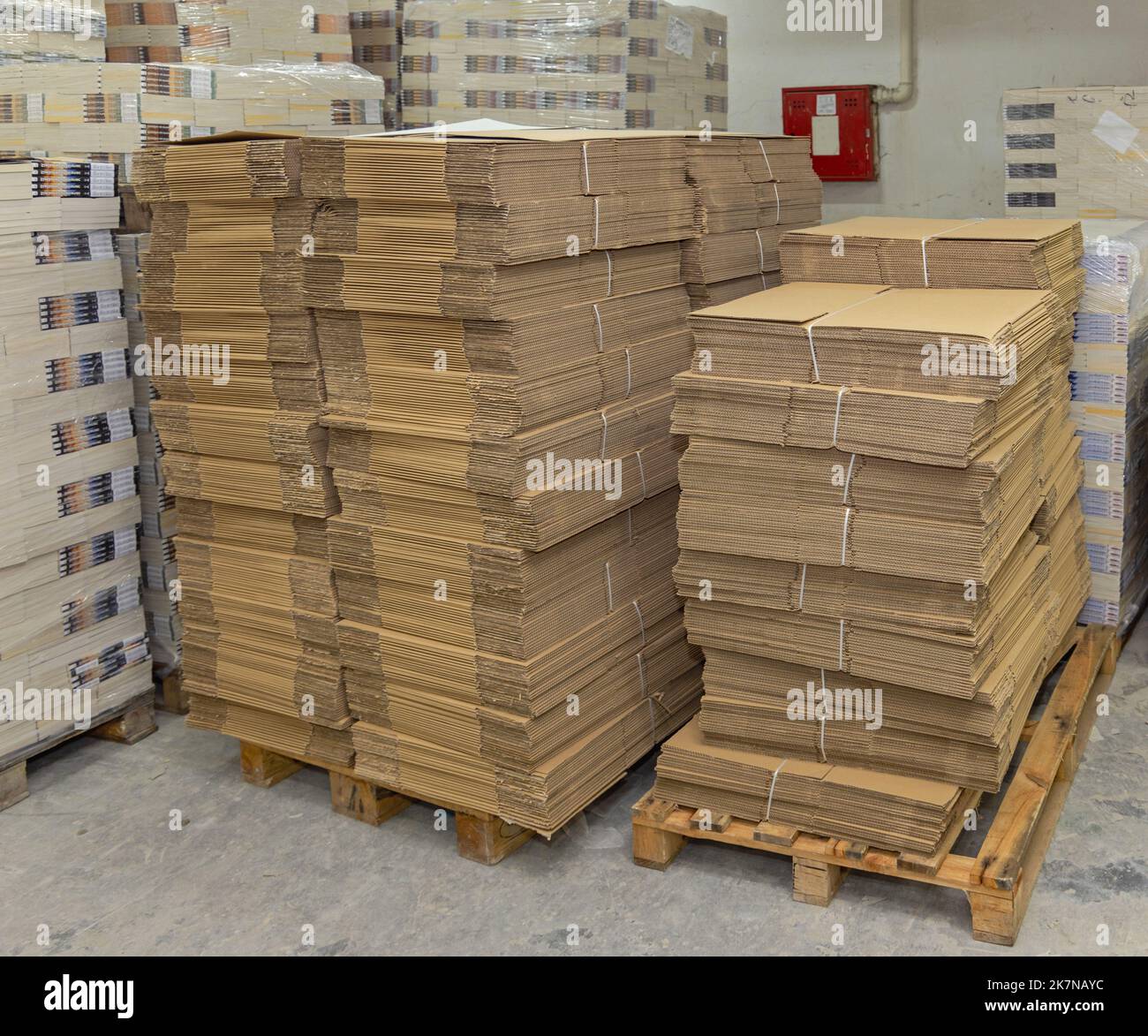 Cardboard Boxes Packaging at Pallets in Storage Room Stock Photo - Alamy