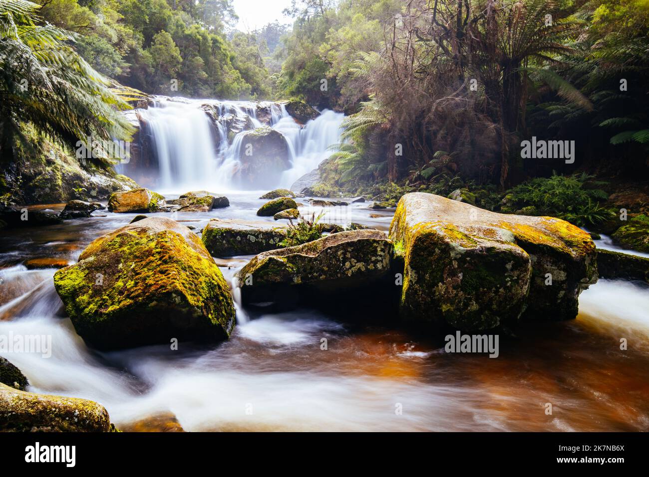 Halls Falls in Pyengana Tasmania Australia Stock Photo - Alamy
