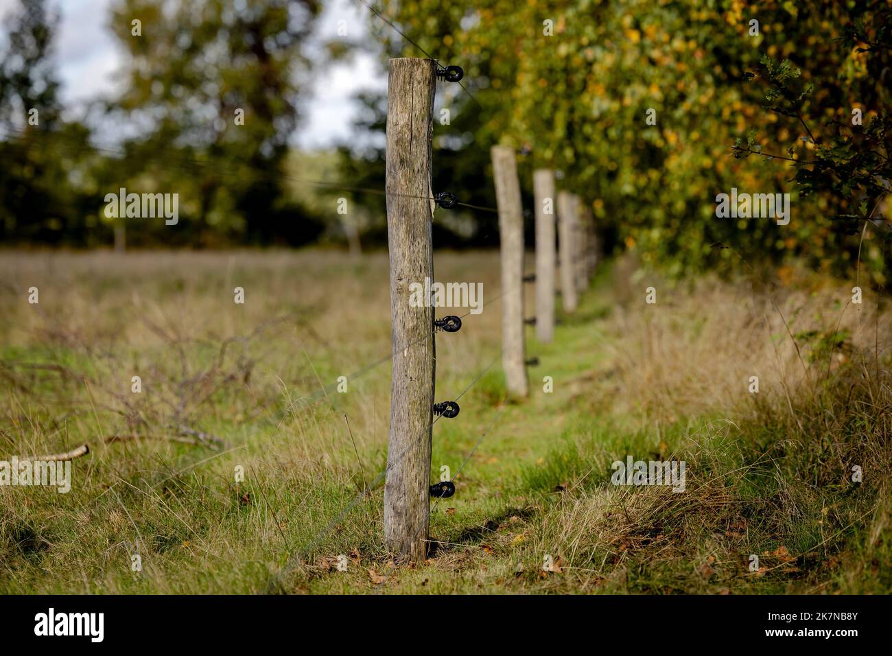2022-10-18 13:41:40 BENNEVELD - Wolf-proof fence at a sheep farmer in ...