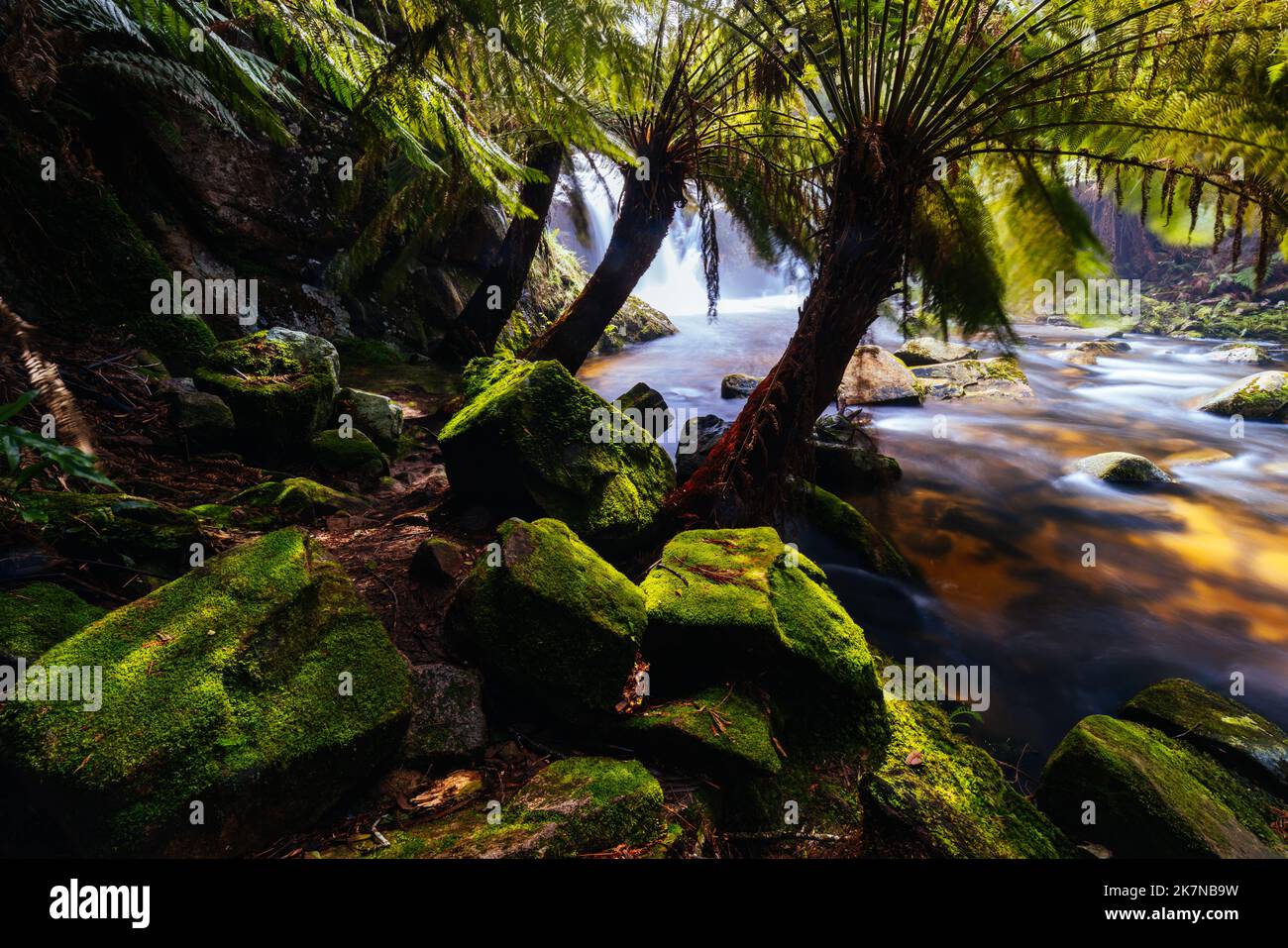 Pyengana tasmania hi-res stock photography and images - Alamy
