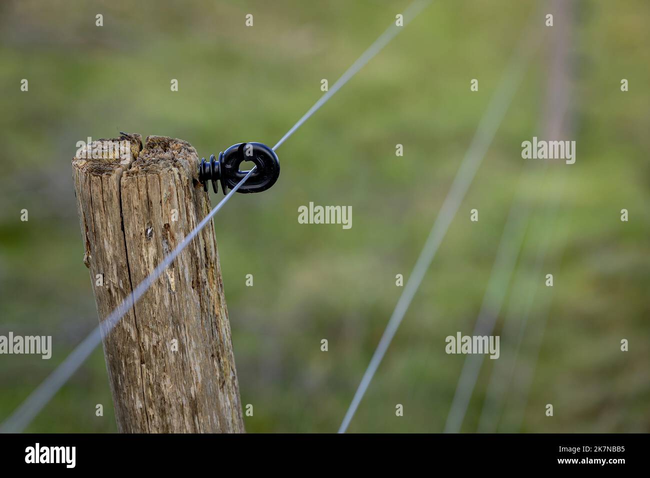 2022-10-18 13:40:08 BENNEVELD - Wolf-proof fence at a sheep farmer in ...