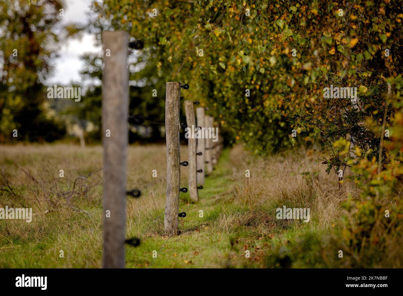 2022-10-18 13:39:28 BENNEVELD - Wolf-proof fence at a sheep farmer in ...