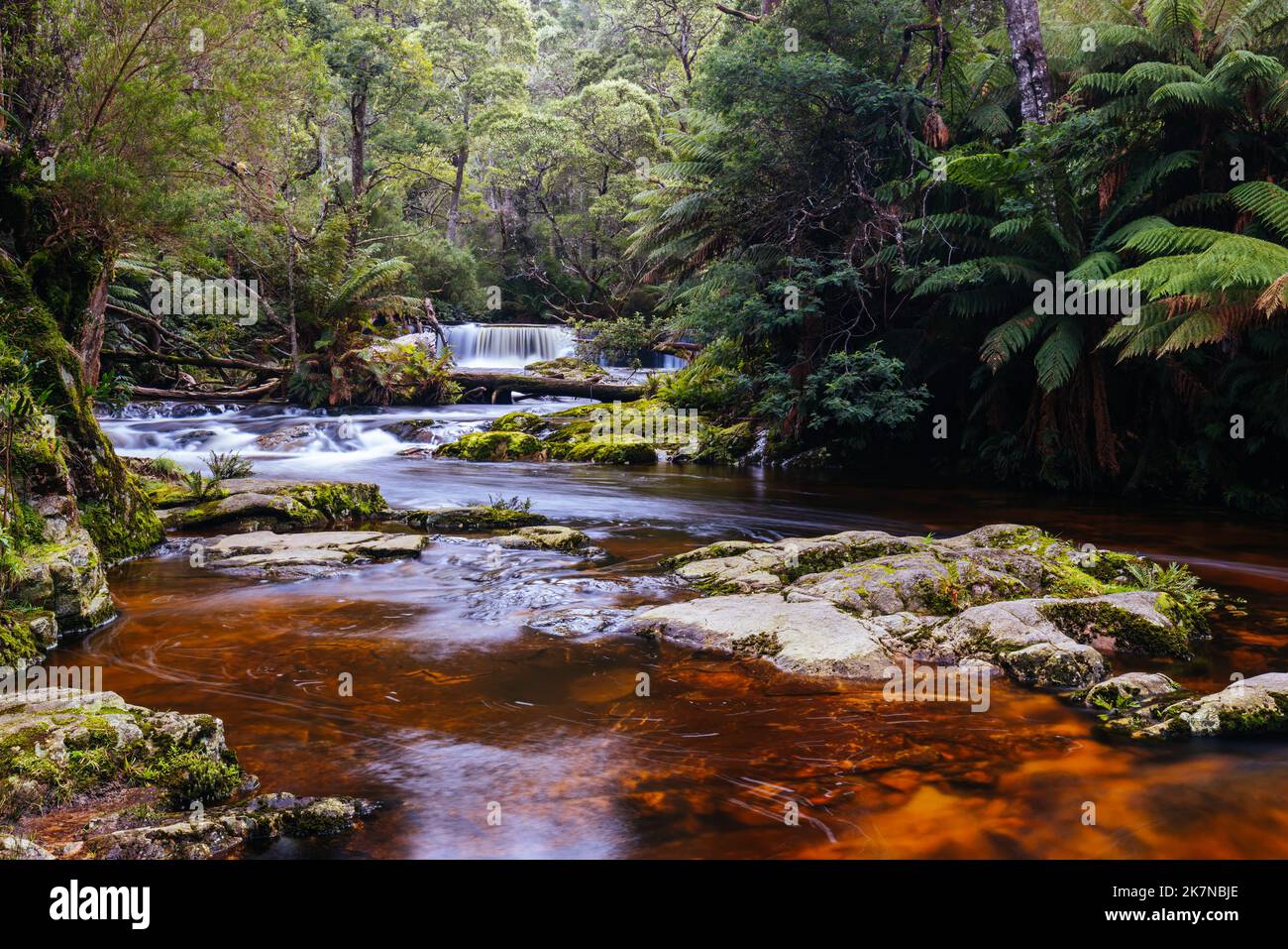 Halls Falls in Pyengana Tasmania Australia Stock Photo - Alamy