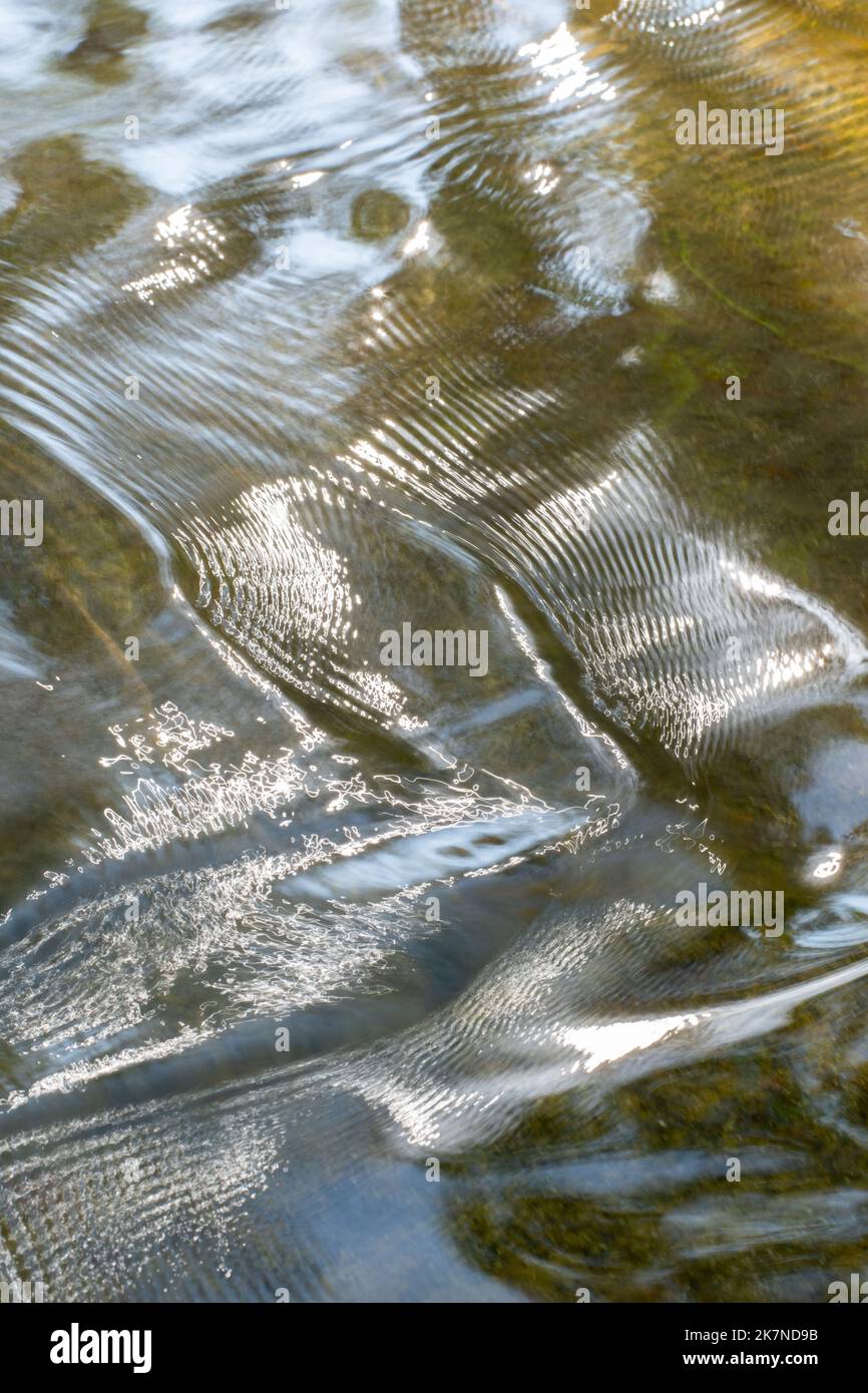 Sunlight creating patterns on the flowing water in the pond Stock Photo ...