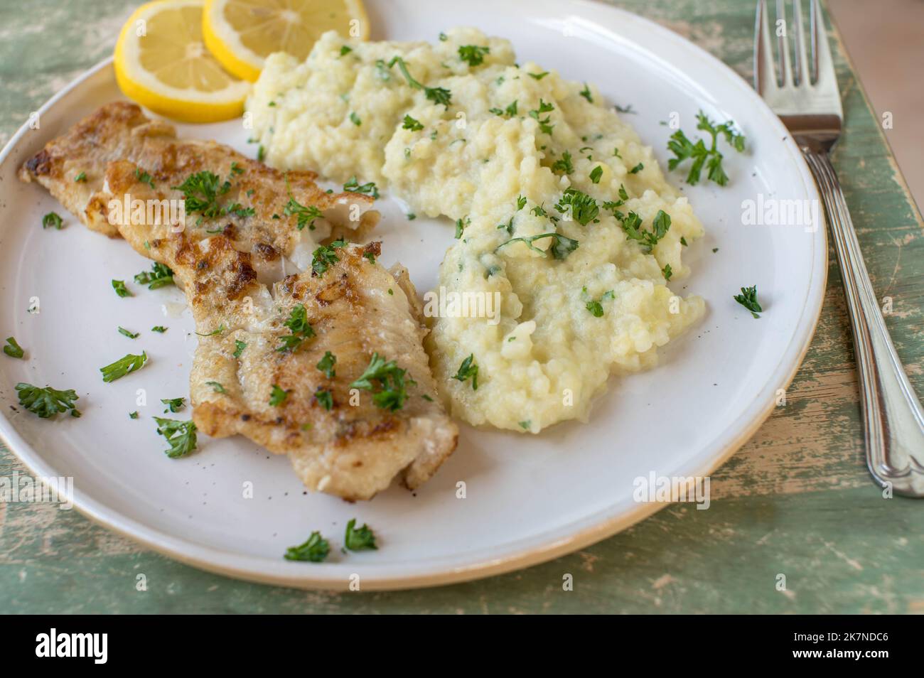 Low carb fish meal with pan fried redfish and kohlrabi puree on a plate ...