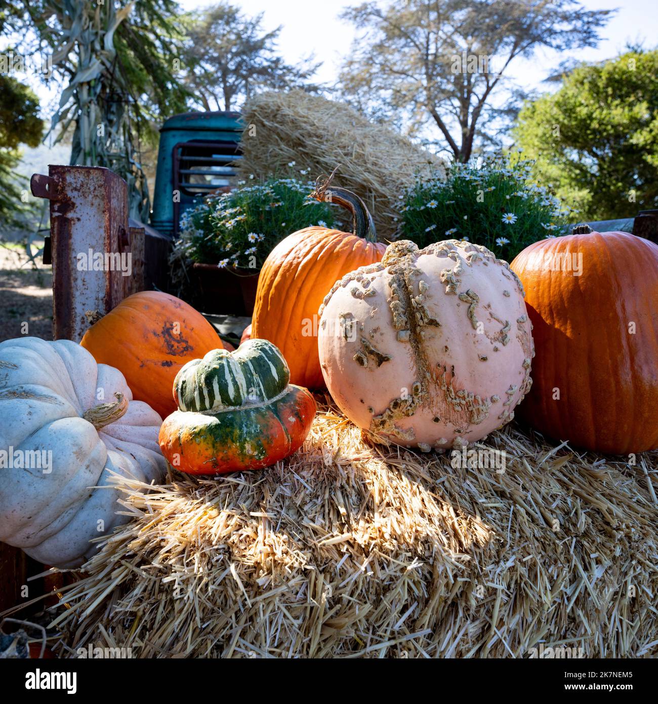 Historic Garden in Fall Stock Photo - Alamy