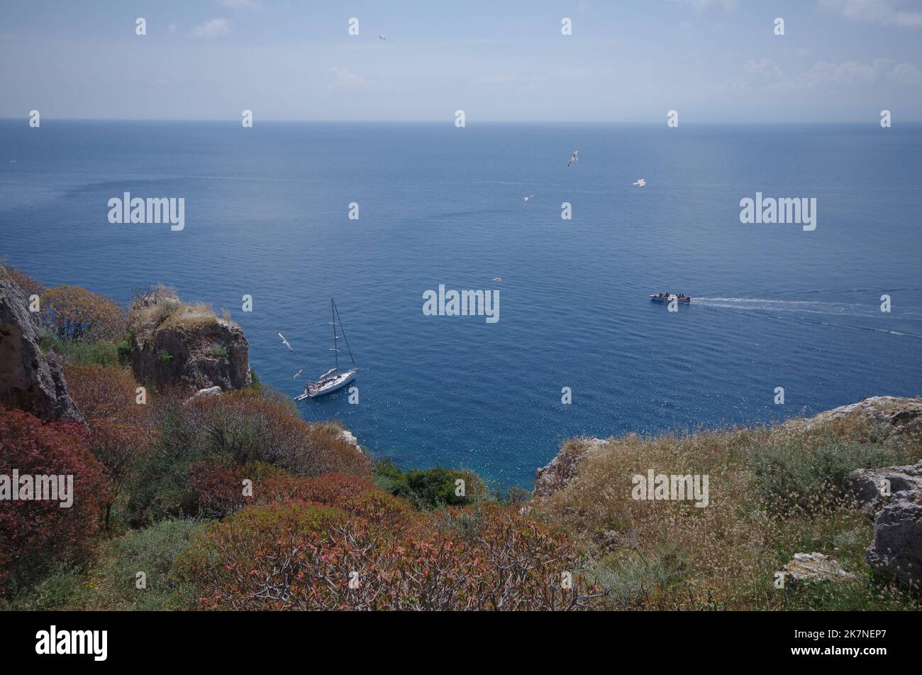 San Nicola Island - Archipelago of the Tremiti Islands - Italy - Mouse ...