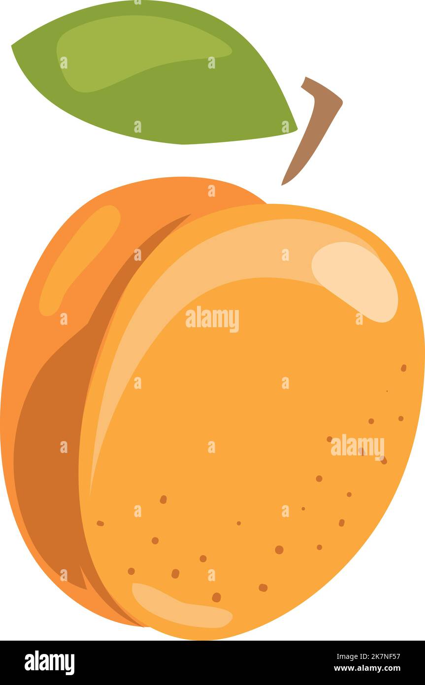 Cartoon sweet yellow apricot fruit hi-res stock photography and images ...