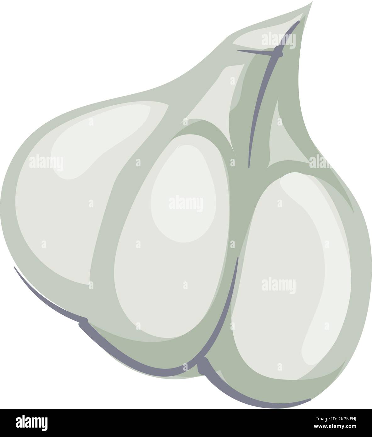 Garlic bulb icon. Cartoon spicy healthy root Stock Vector Image & Art ...