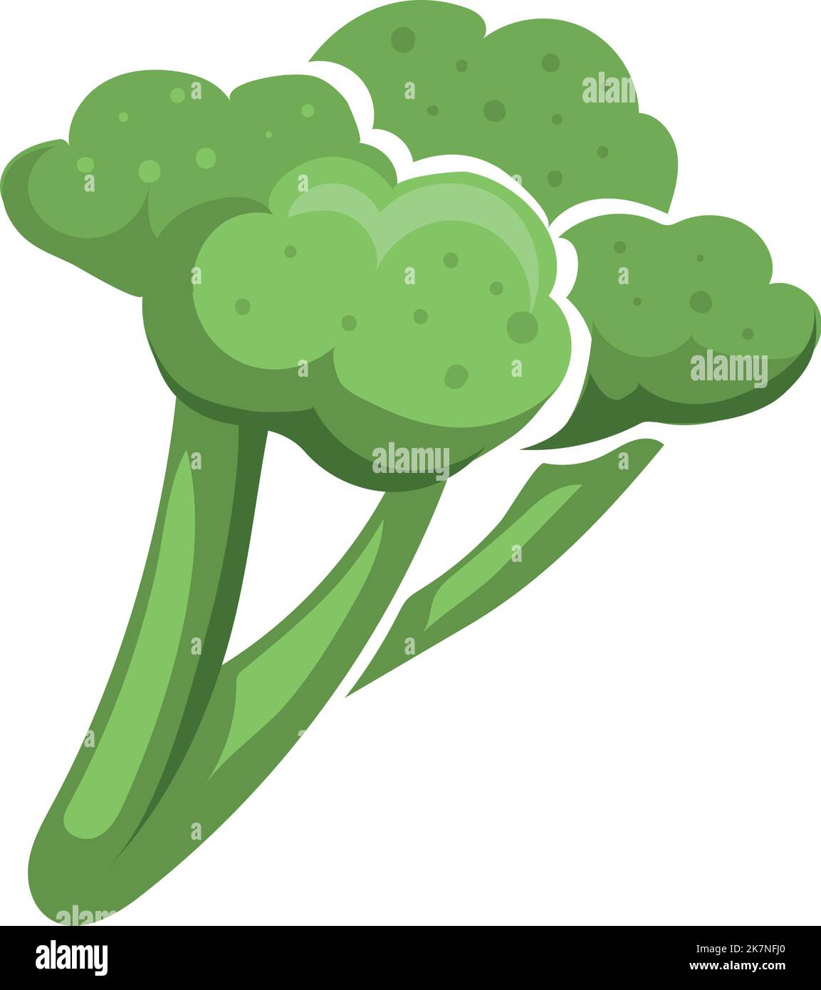 Broccoli plant illustration hi-res stock photography and images - Alamy