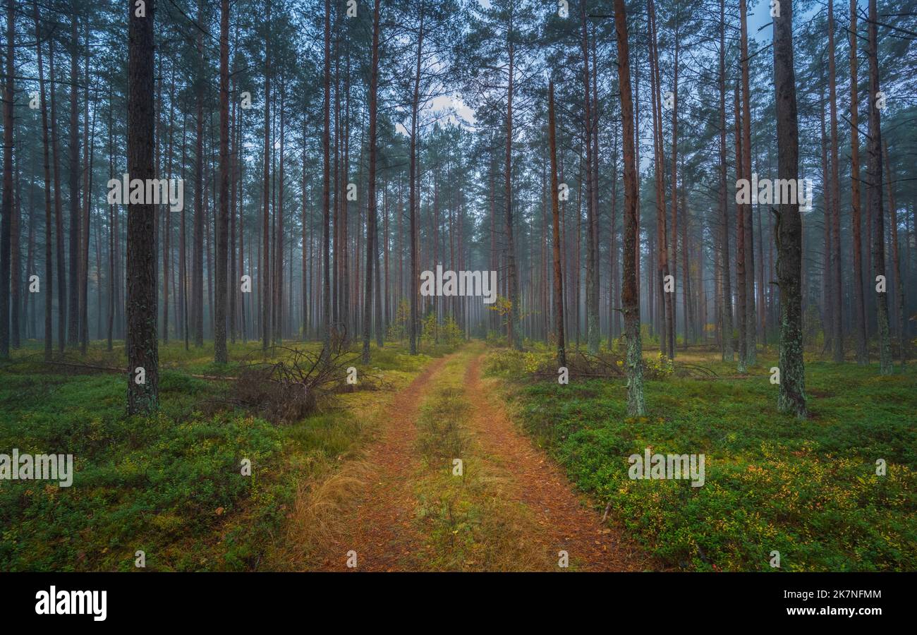 Shine haze hi-res stock photography and images - Alamy