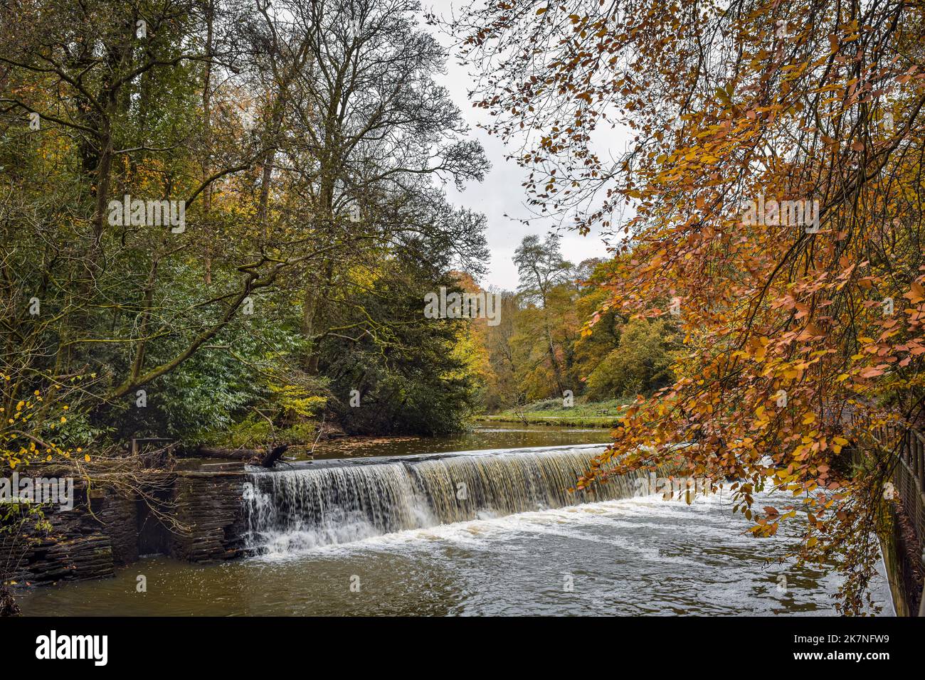 Autumn scene at Vassells Park, Oldbury Court Estate, Bristol, UK and ...