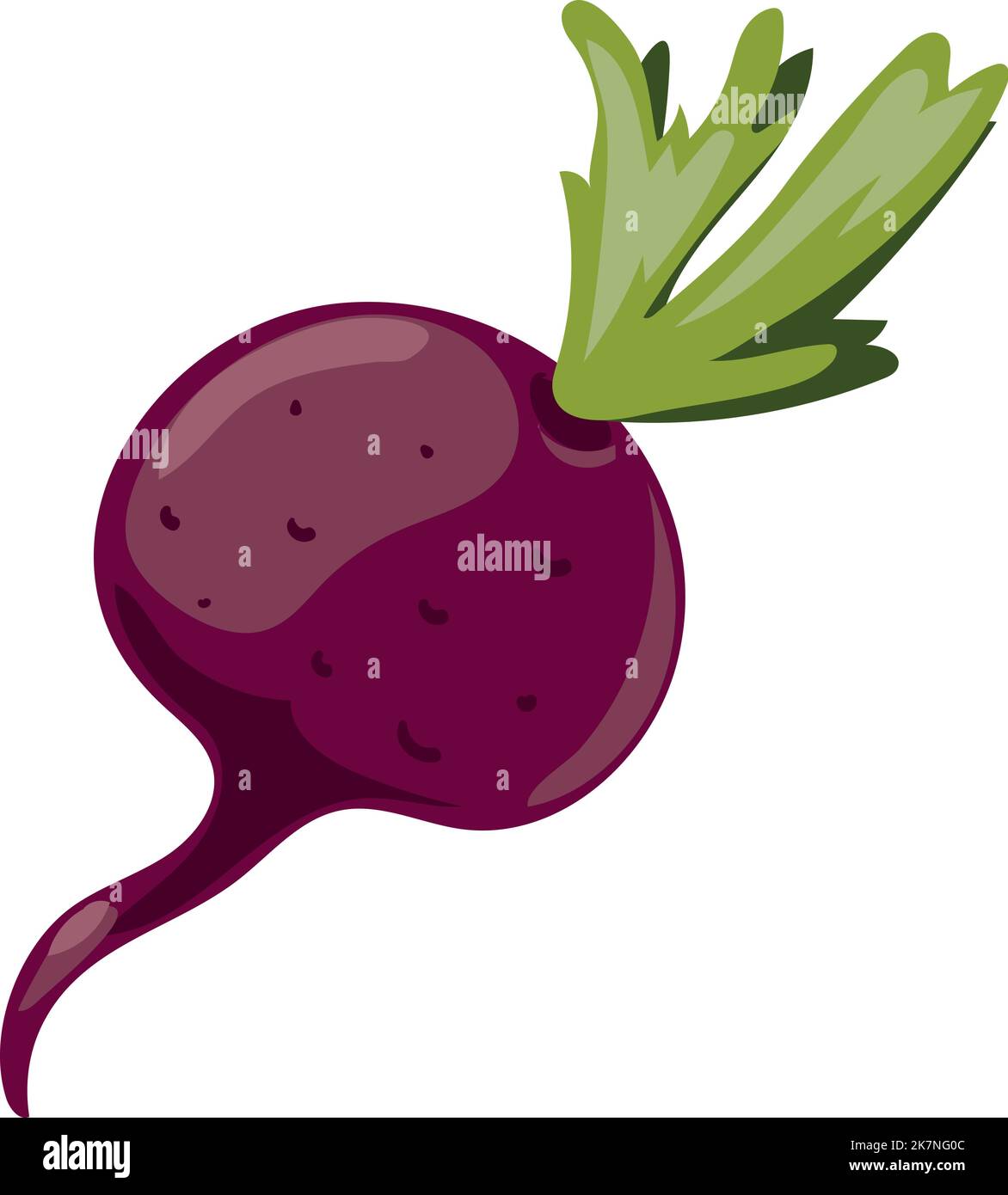 Beet icon. Cartoon beeetroot. Sugar red root Stock Vector Image & Art ...