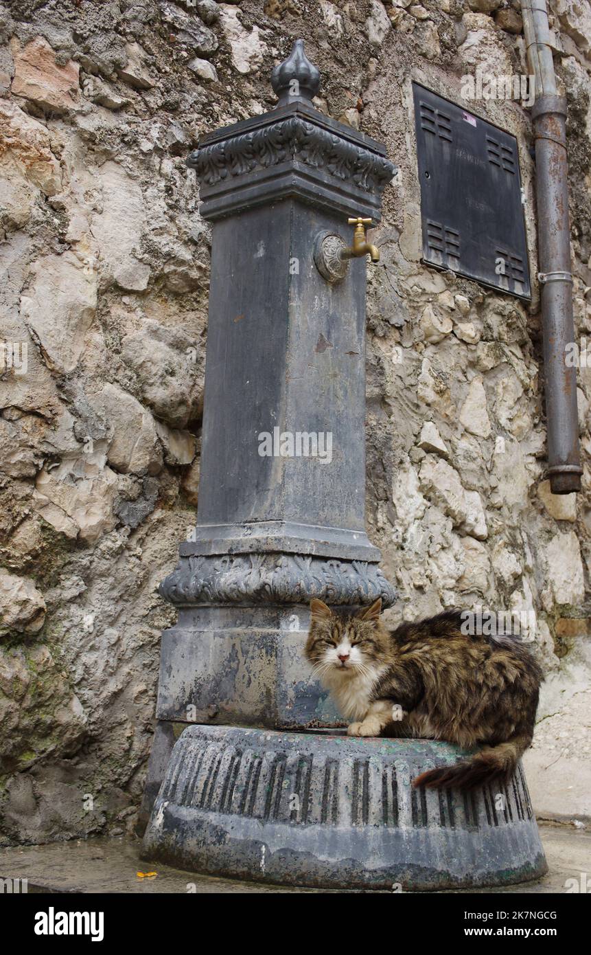 Pacentro (AQ) - Abruzzo - Italy - A cat dozes on an ancient fountain in ...