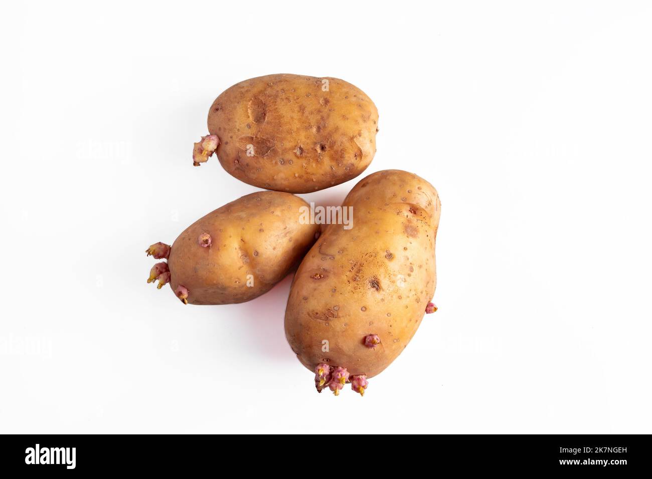 Vegetable food potato potato sprout hi-res stock photography and images ...