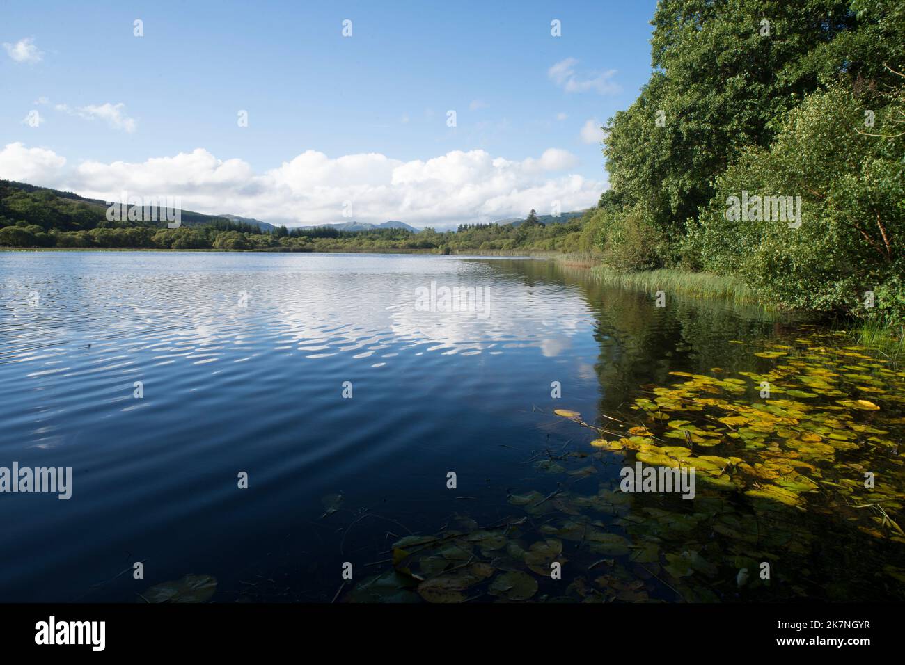 View across the countryside in the Loch Loskin area near Dunoon Stock ...