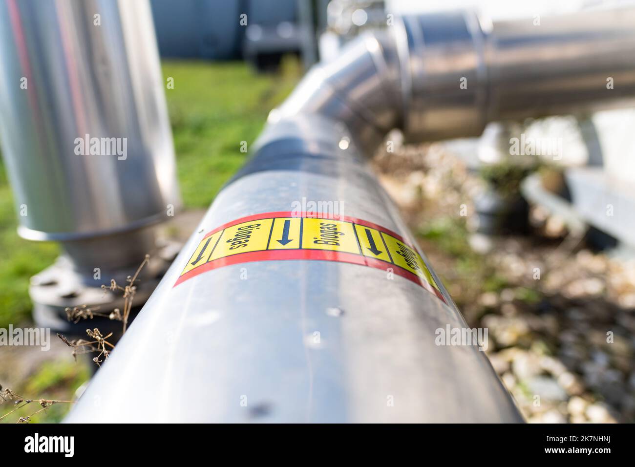 Bioprocessing hi-res stock photography and images - Alamy