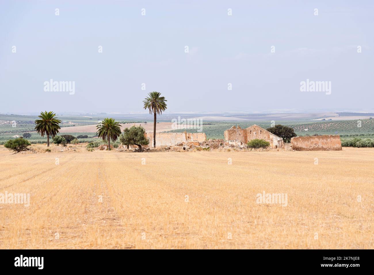 Ruined buildings and olive trees in wide open landscape, Andalusia ...
