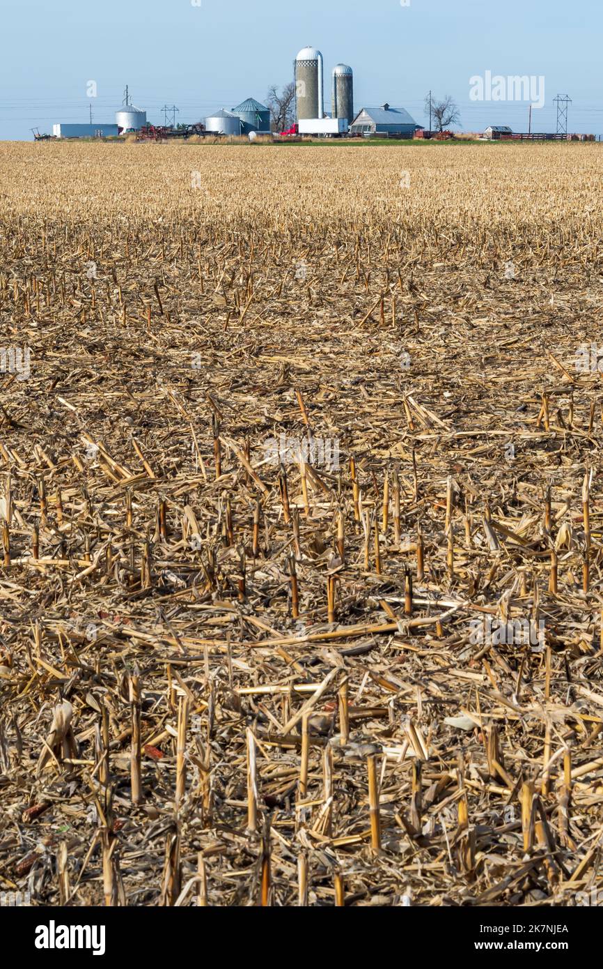 Distant farm buildings and silos across a harvested field Stock Photo ...