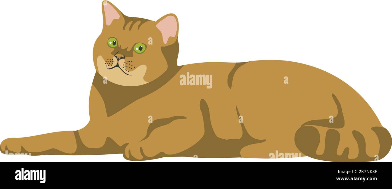 Cute lying cat. Funny pet. Cartoon kitten Stock Vector Image & Art - Alamy