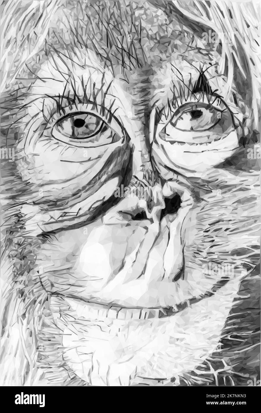 Orang Utan as pencil illustration. The monkey makes a funny face ...