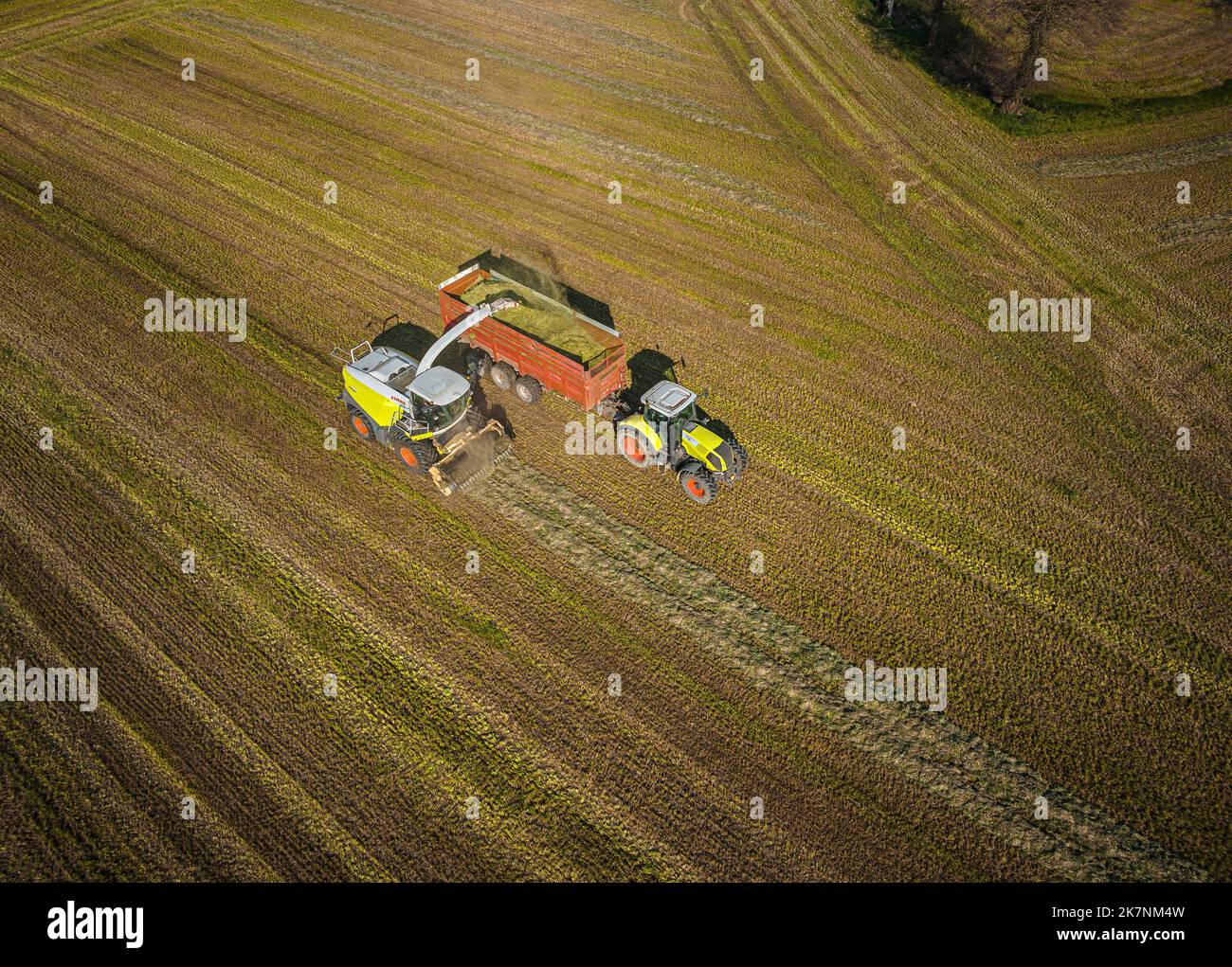 Farm work.. Grass silage, aerial view Stock Photo - Alamy