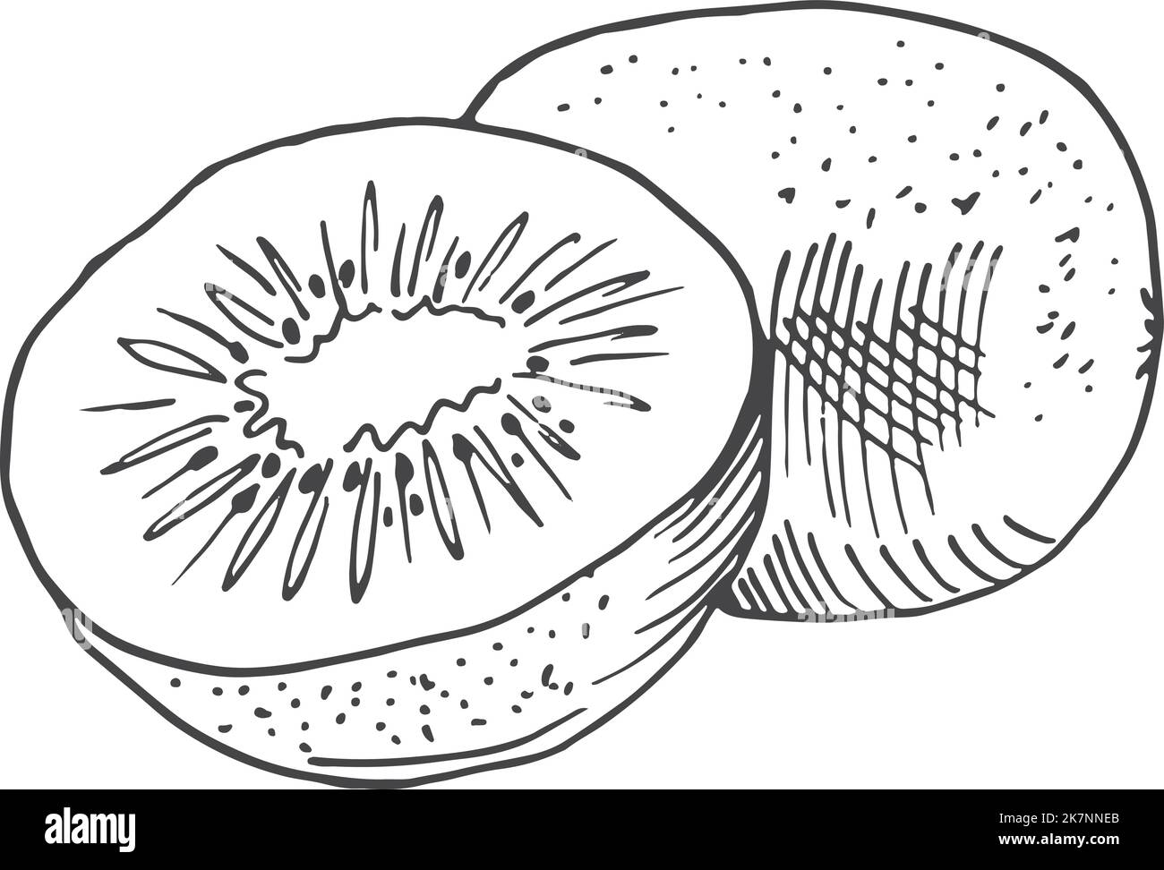 Kiwi half cut. Exotic whole fruit sketch Stock Vector Image & Art - Alamy Kiwi half cut. Exotic whole fruit sketch Stock Vector Image & Art - Alamy