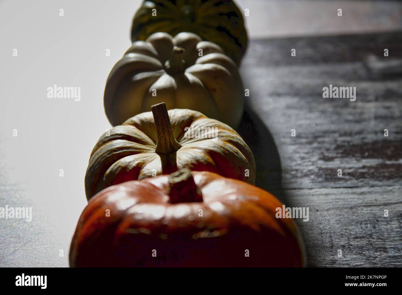 Pumpkins and varieties of squash in sunlight on wood surface Stock ...