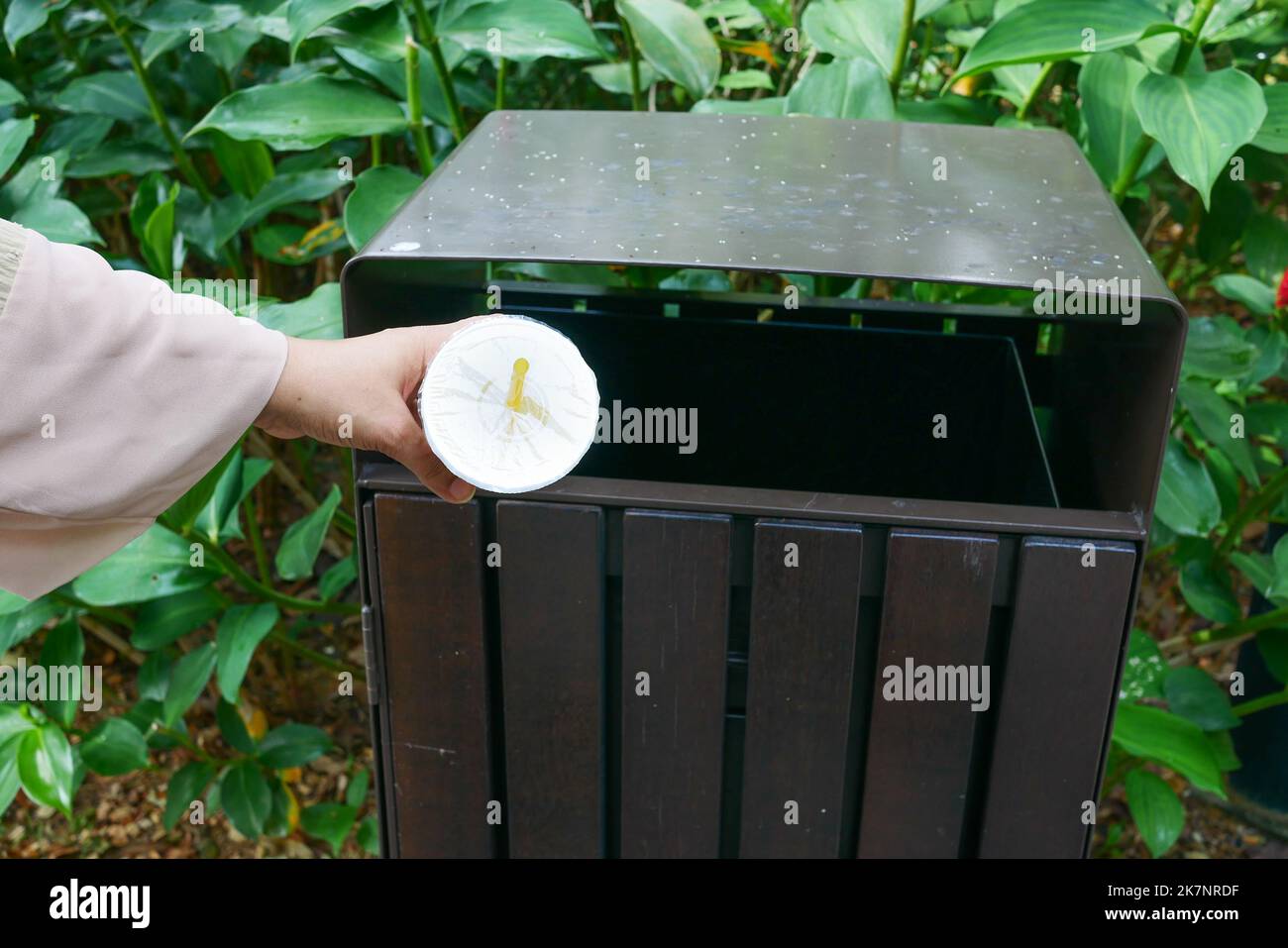women hand throwing an empty plastic water bottle in the garbage trash ...