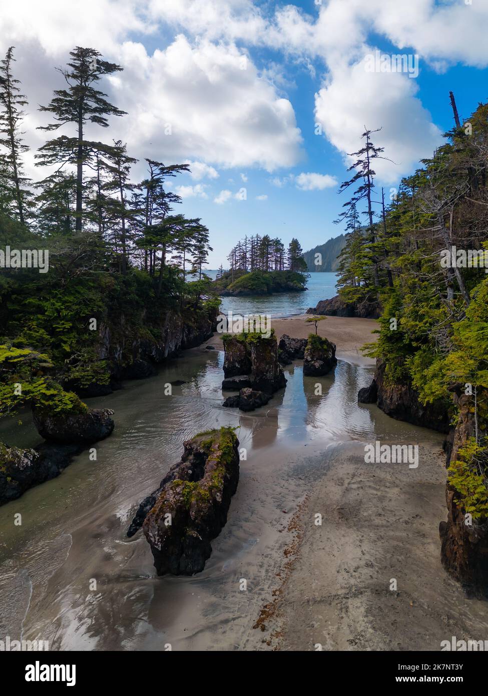 Sandy beach on Pacific Ocean Coast View. Sunny Blue Sky. San Josef Bay ...