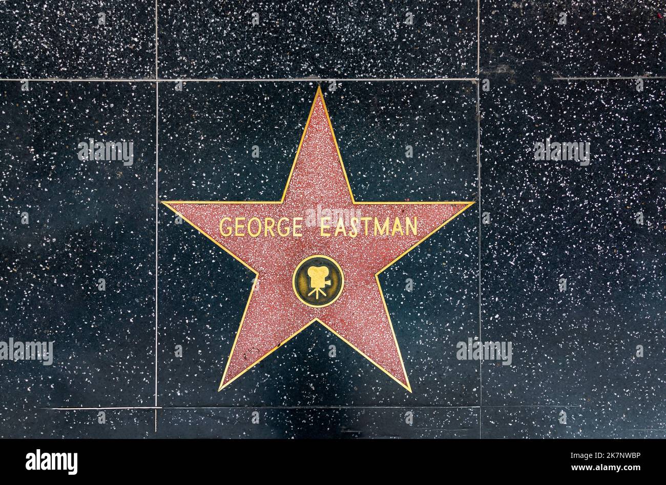 LOS ANGELES, USA - MAR 5, 2019: closeup of Star on the Hollywood Walk ...