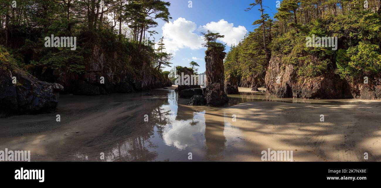 Sandy beach on Pacific Ocean Coast View. Sunny Blue Sky. San Josef Bay ...
