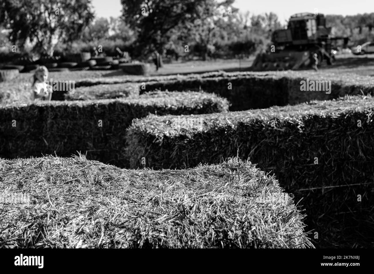 Straw bale maze with child going along a path towards the center Stock ...