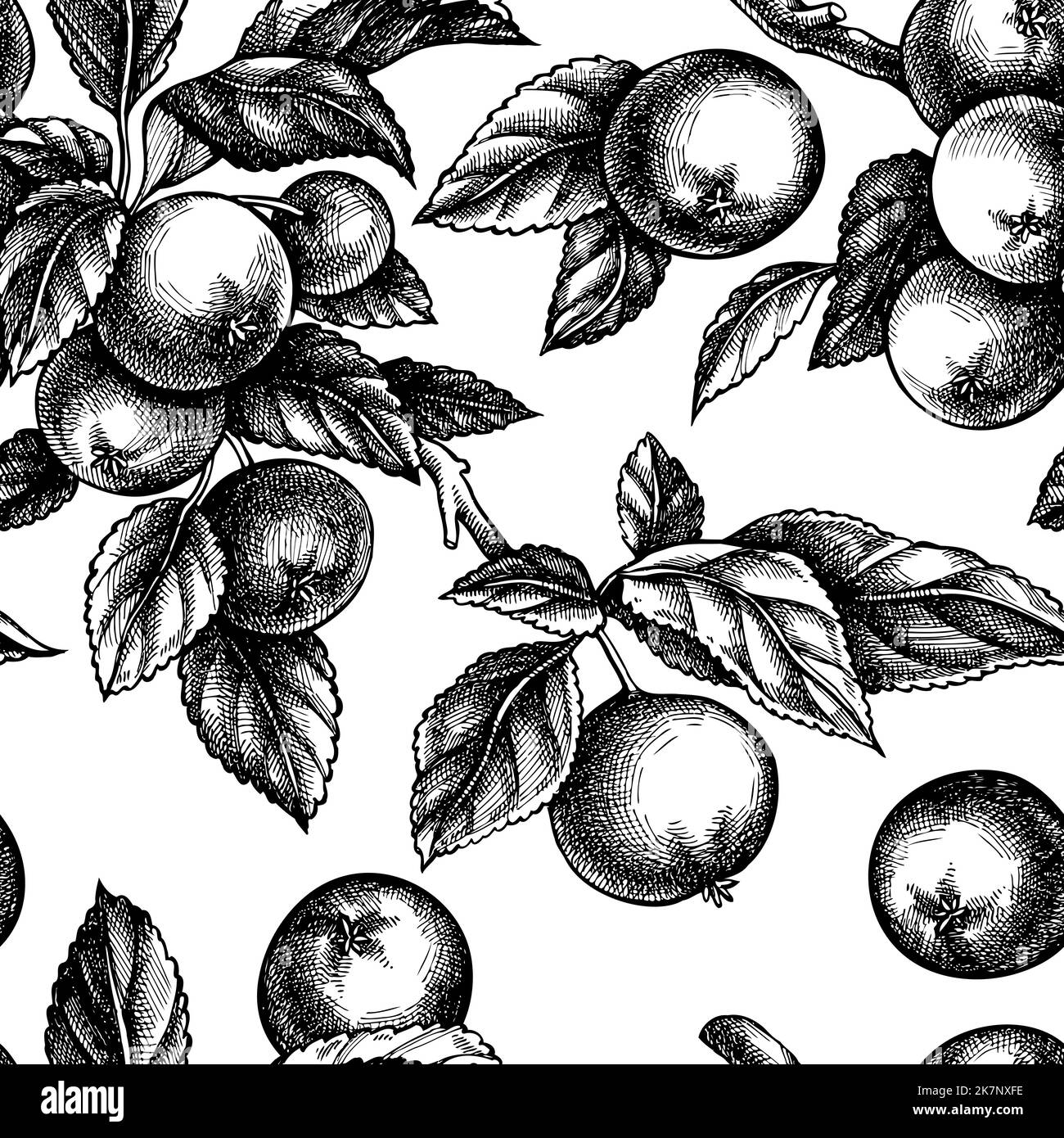 Gardening seamless pattern background design. Engraved style. Hand ...
