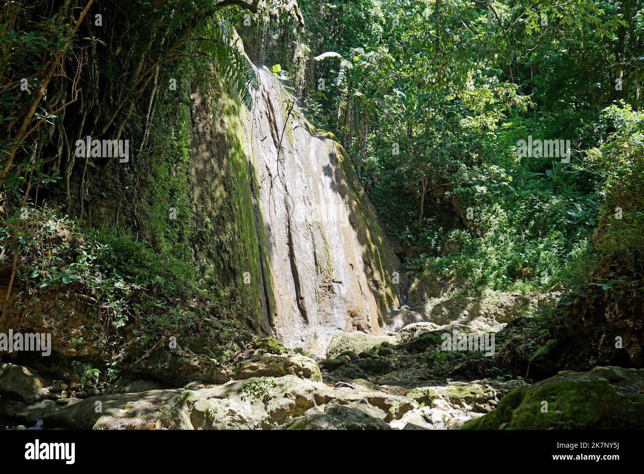 los cocos waterfall in samana in the dominican republic Stock Photo - Alamy